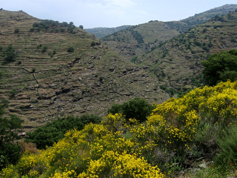 The Town of Ioulis: Simonides' Birthplace | Art of Memory