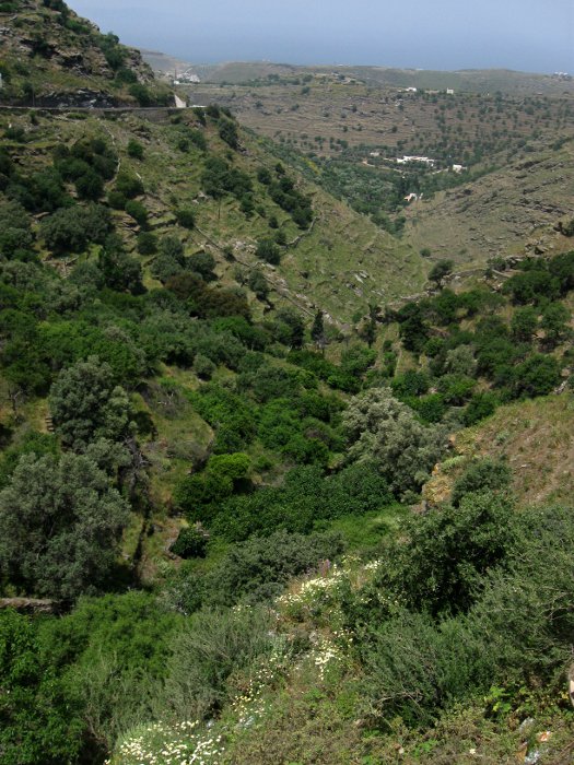 The Town of Ioulis: Simonides' Birthplace | Art of Memory